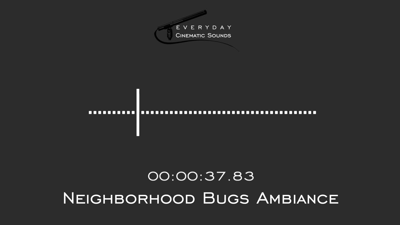 Neighborhood Evening Bug Ambiance | HQ Sound Effect - YouTube