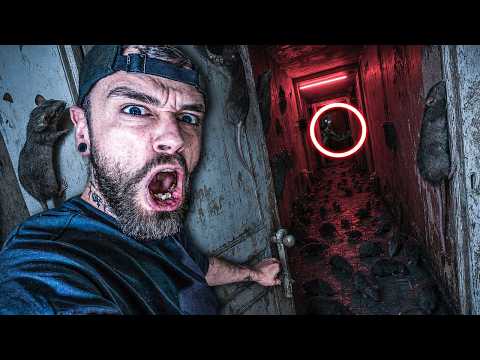 ÜBERALL RATTEN? Das Haus des creepy Künstlers!