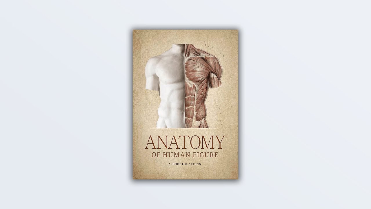 Anatomy of Human Figure: A Guide for Artists, by V. A. Mogilevtsev (PDF ...