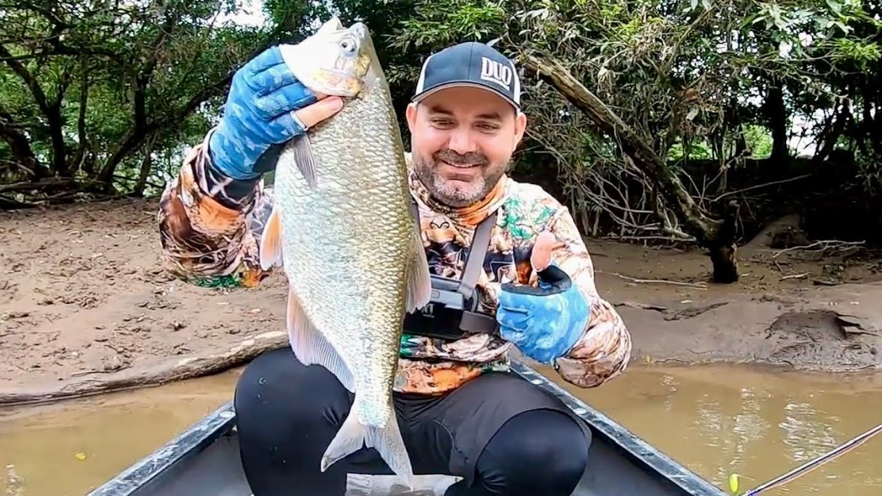 Pesca de machaca en el río Parismina Limón Costa Rica - YouTube