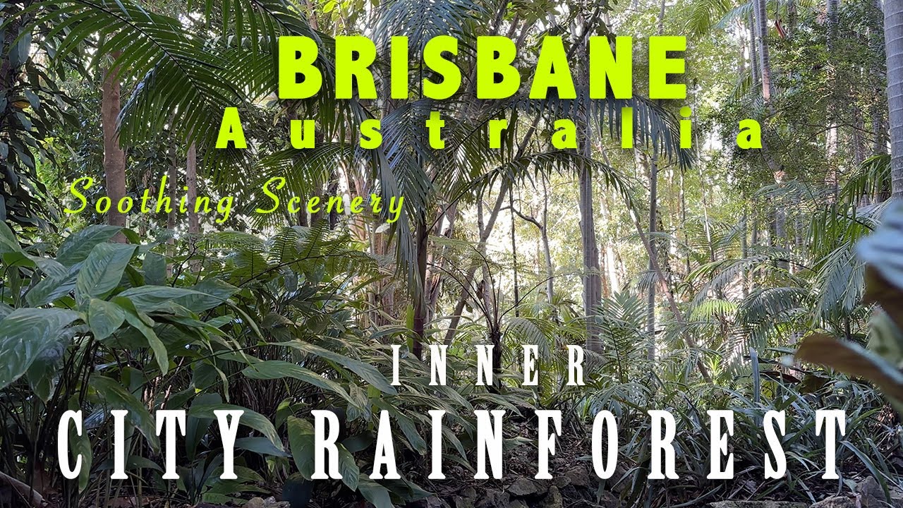 Soothing Scenery 6 - Relaxation, Meditation, Sleep, Healing, ASMR ...