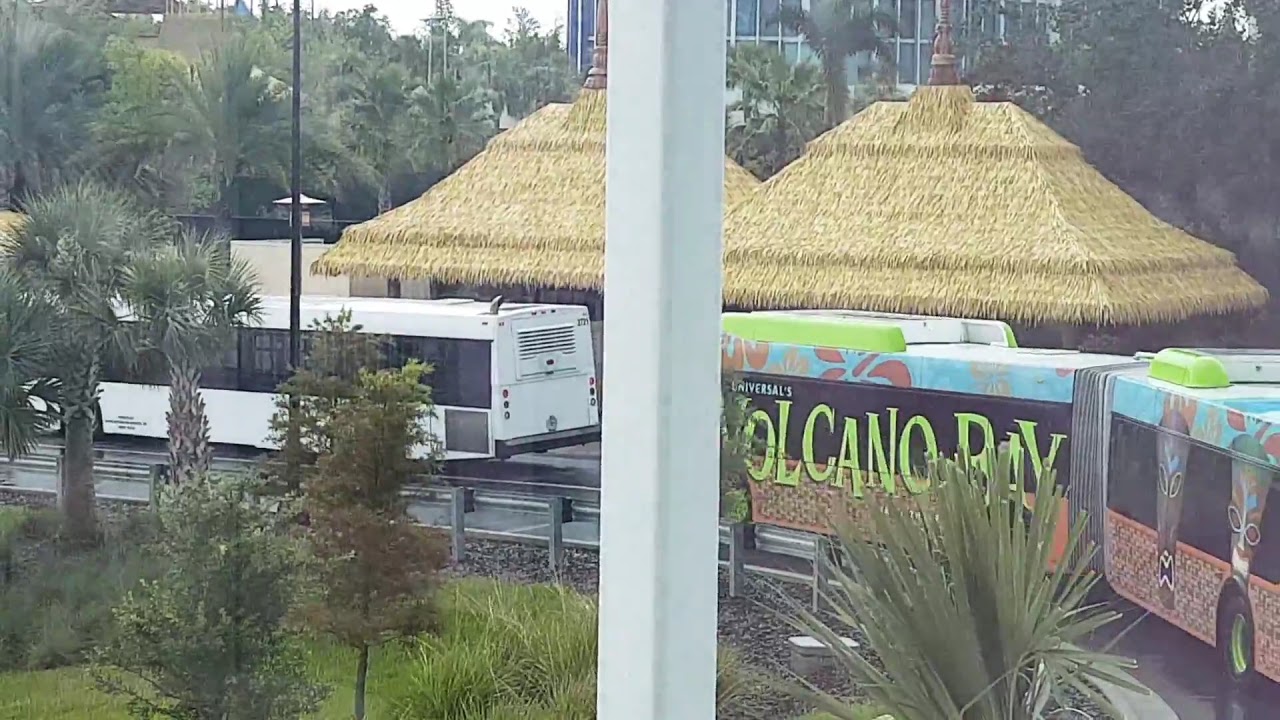 Volcano Bay bus stop. - YouTube