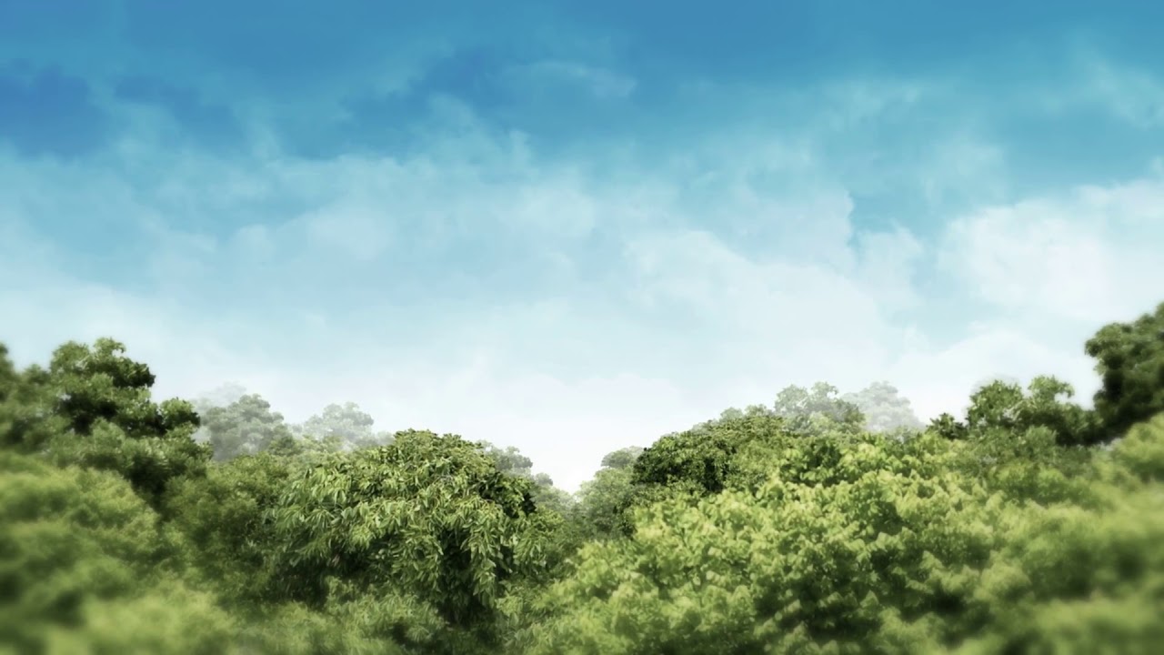 Video Background HD Landscape HD Style Proshow styleproshow org - YouTube