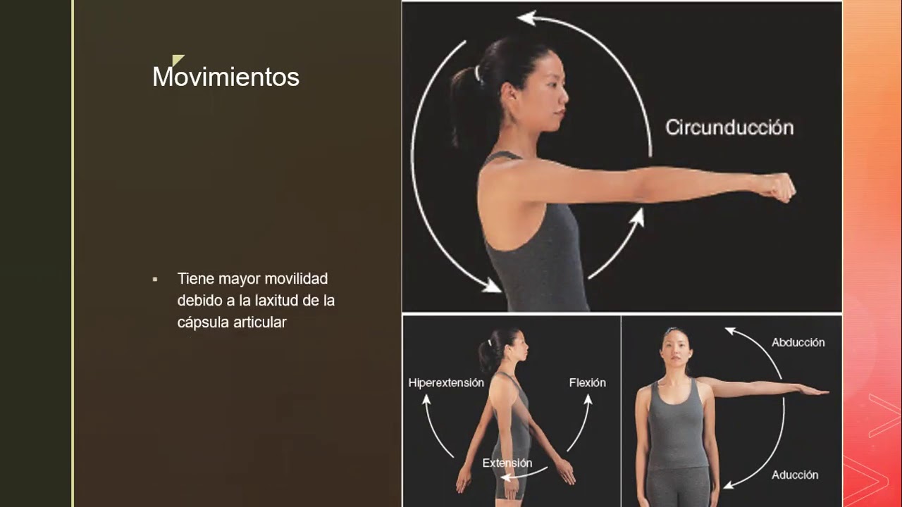 Extremidad superior 2: Algunas articulaciones - YouTube