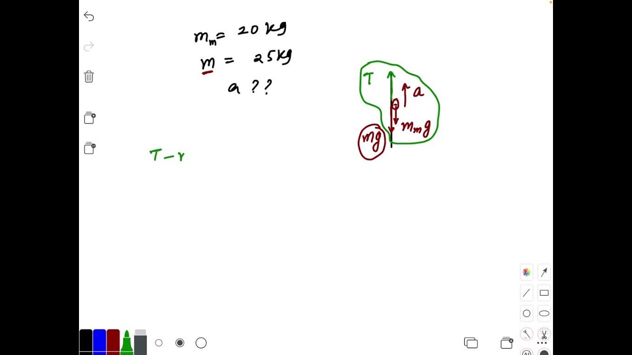 Two monkeys of masses 10 kg and 8 kg are moving on a vertical light ...