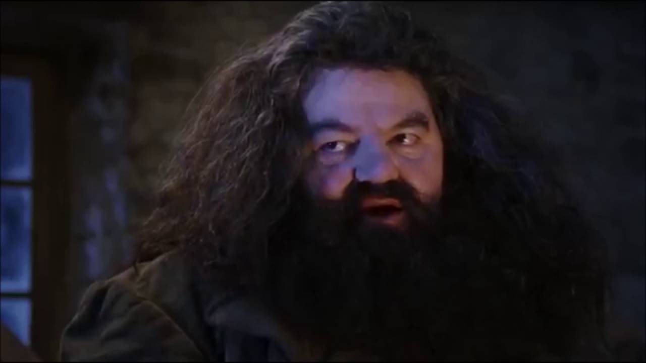 Yer A Wizard Harry Youtube