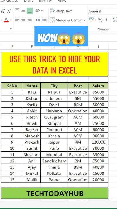 USE THIS TRICK TO HIDE YOUR DATA IN EXCEL #excel #exceltips #exceltricks #excelhacks #trending ...