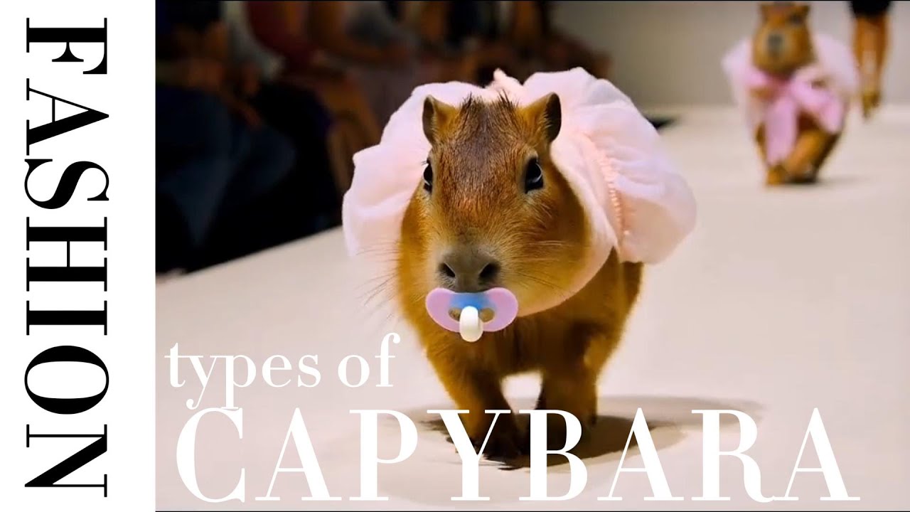 Khi bộ trưởng Capybara làm model&Capybara SHOW - YouTube