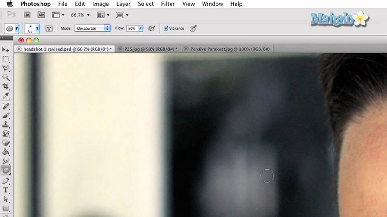 Learn Adobe Photoshop - Sponge Tool - YouTube