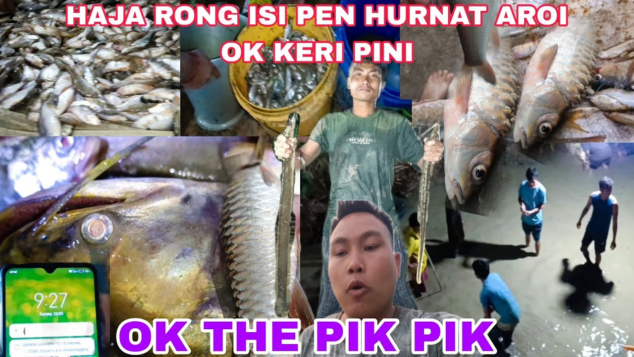 Hurnat aroi Keteng rong isi pen || OK KERI PINI OK THE PIK PIK AN ...