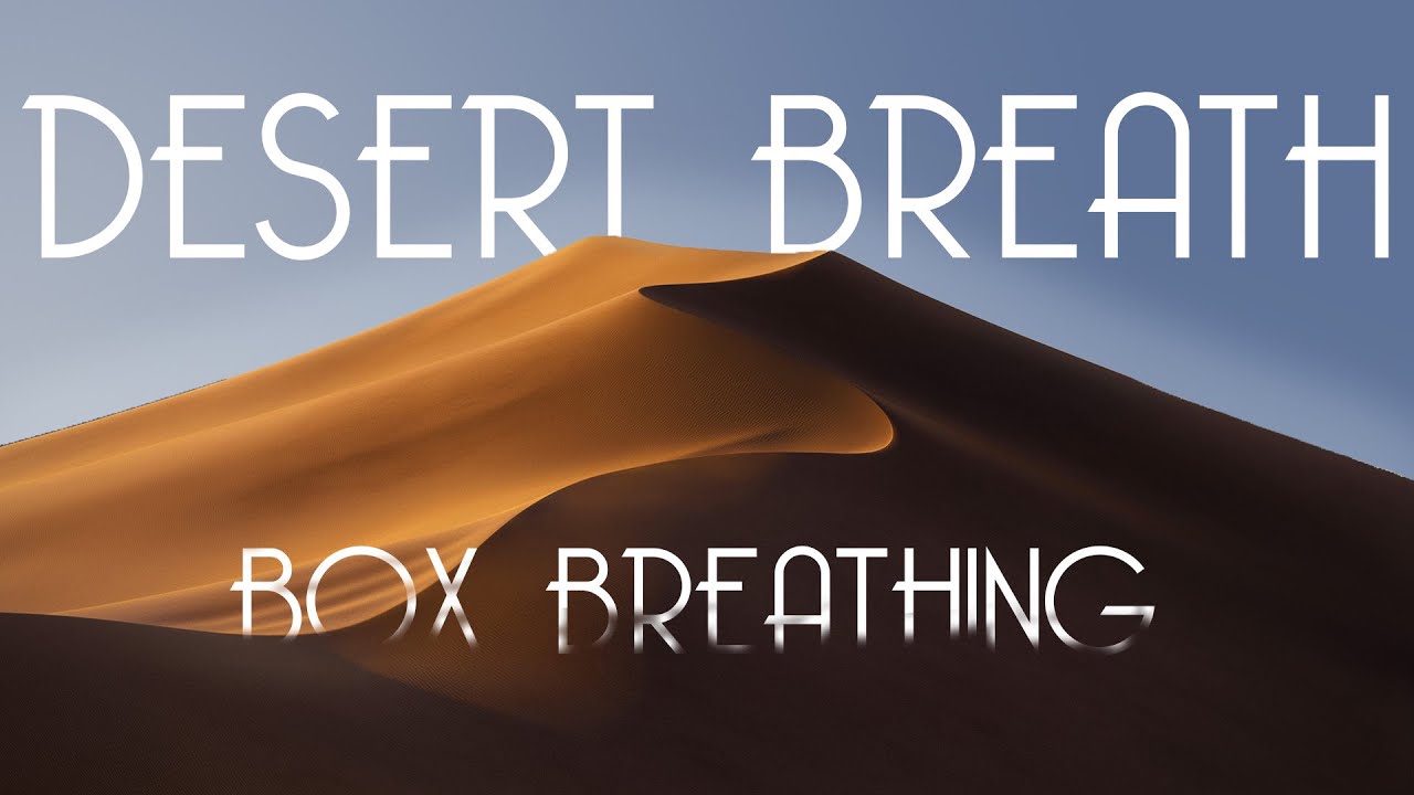 Box breathing | 4 round 7 min practice | Desert ambience | anxiety ...
