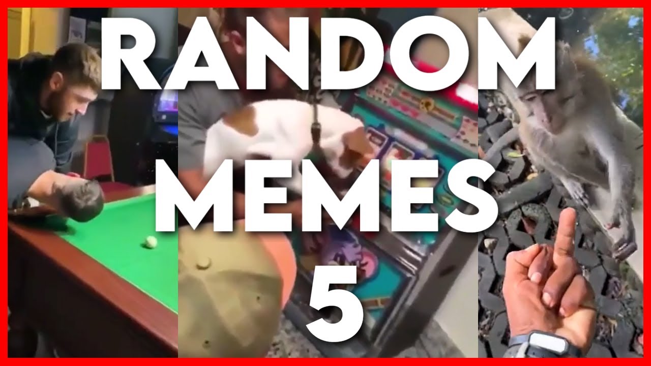 RANDOM MEMES COMPILATION V5 - YouTube