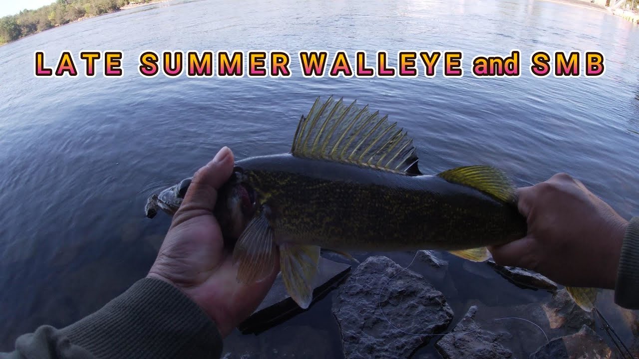LATE SUMMER WALLEYE AND SMB #walleyefishing #summerwalleye - YouTube