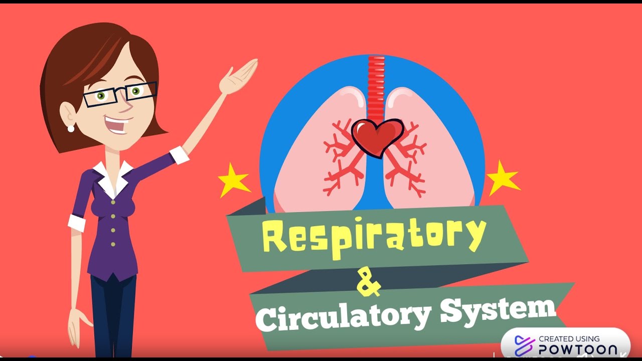 Respiratory & Circulatory System | Science Grade 9 Module | Week 1-2 ...