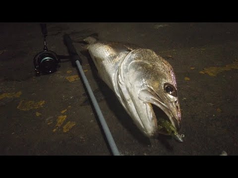 Big Jew Fish VS 4lb Line! - YouTube
