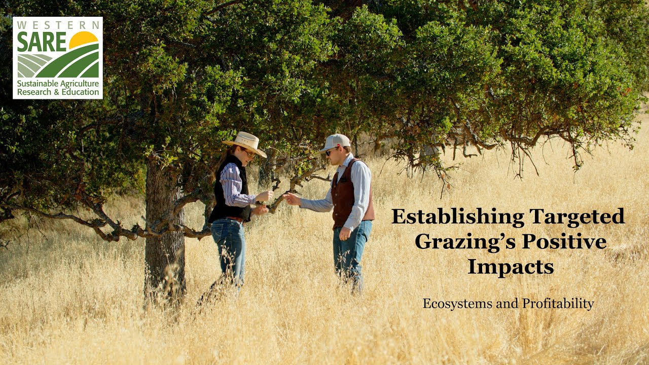 Establishing Targeted Grazing's Positive Impacts: Ecosystems and ...
