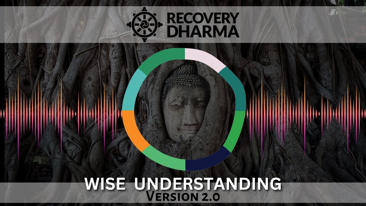 12 - Wise Understanding - Recovery Dharma V2.0 - YouTube