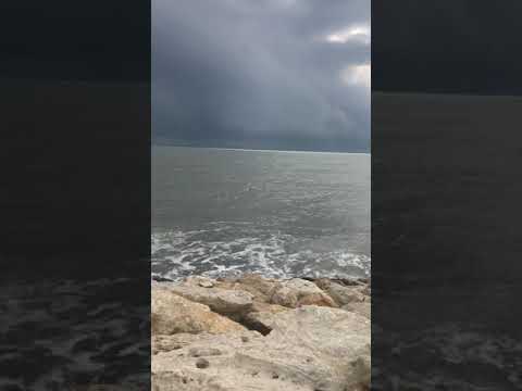 Mersin deniz durumu 08.02.2020