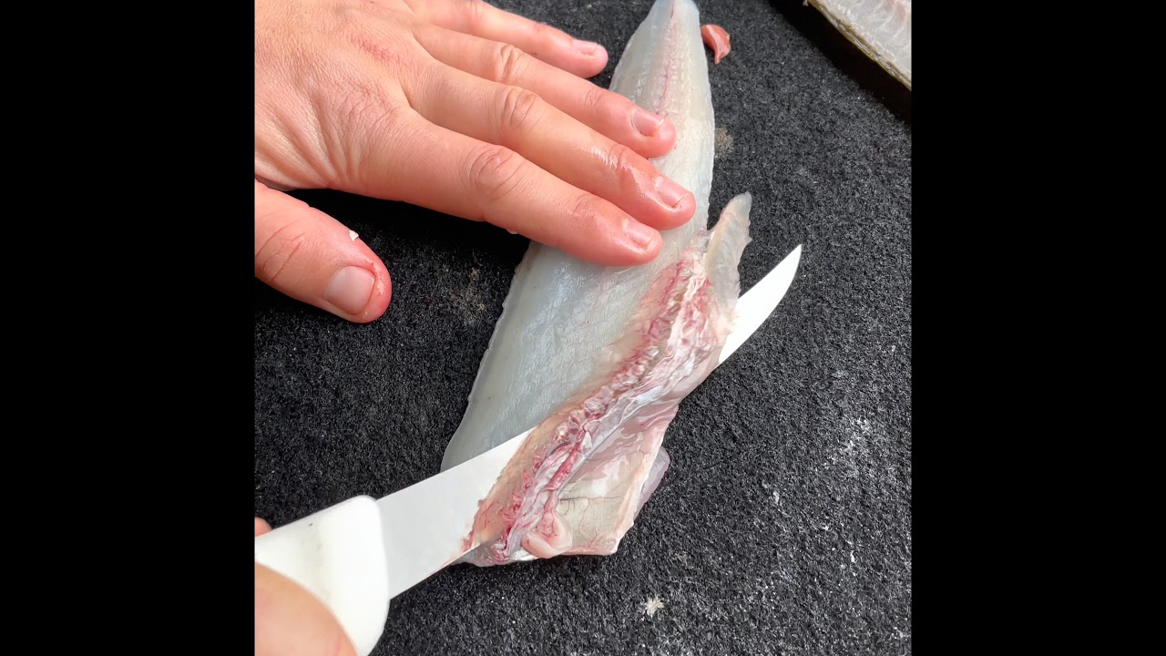 How to fillet King George whiting, properly! - YouTube