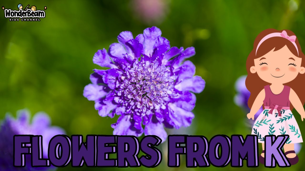 "Flowers from alphabet K "| Flowers names Adventure |#123 #shapes #abcd ...