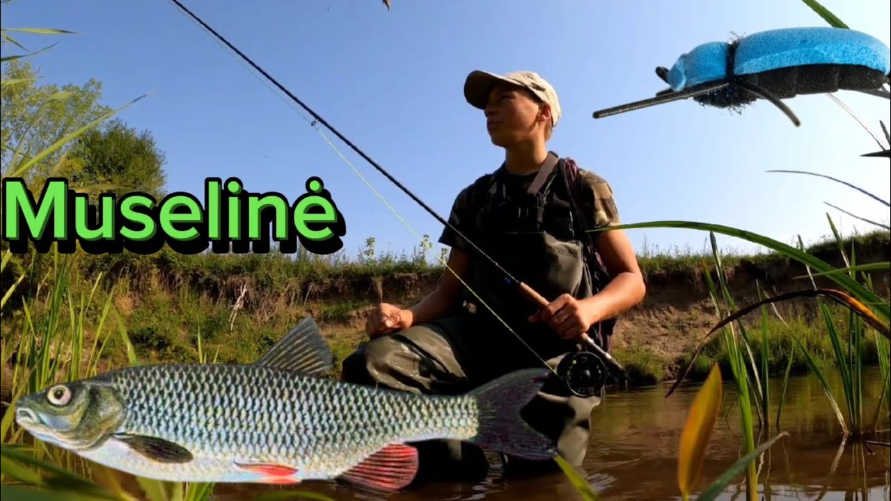 Šapalų žvejyba museline meškere | pirmieji šapalai museline | žvejyba ...