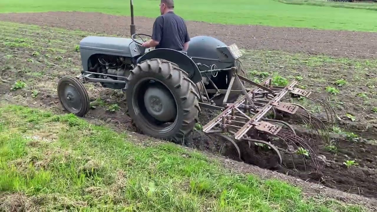 Ferguson cultivator - YouTube
