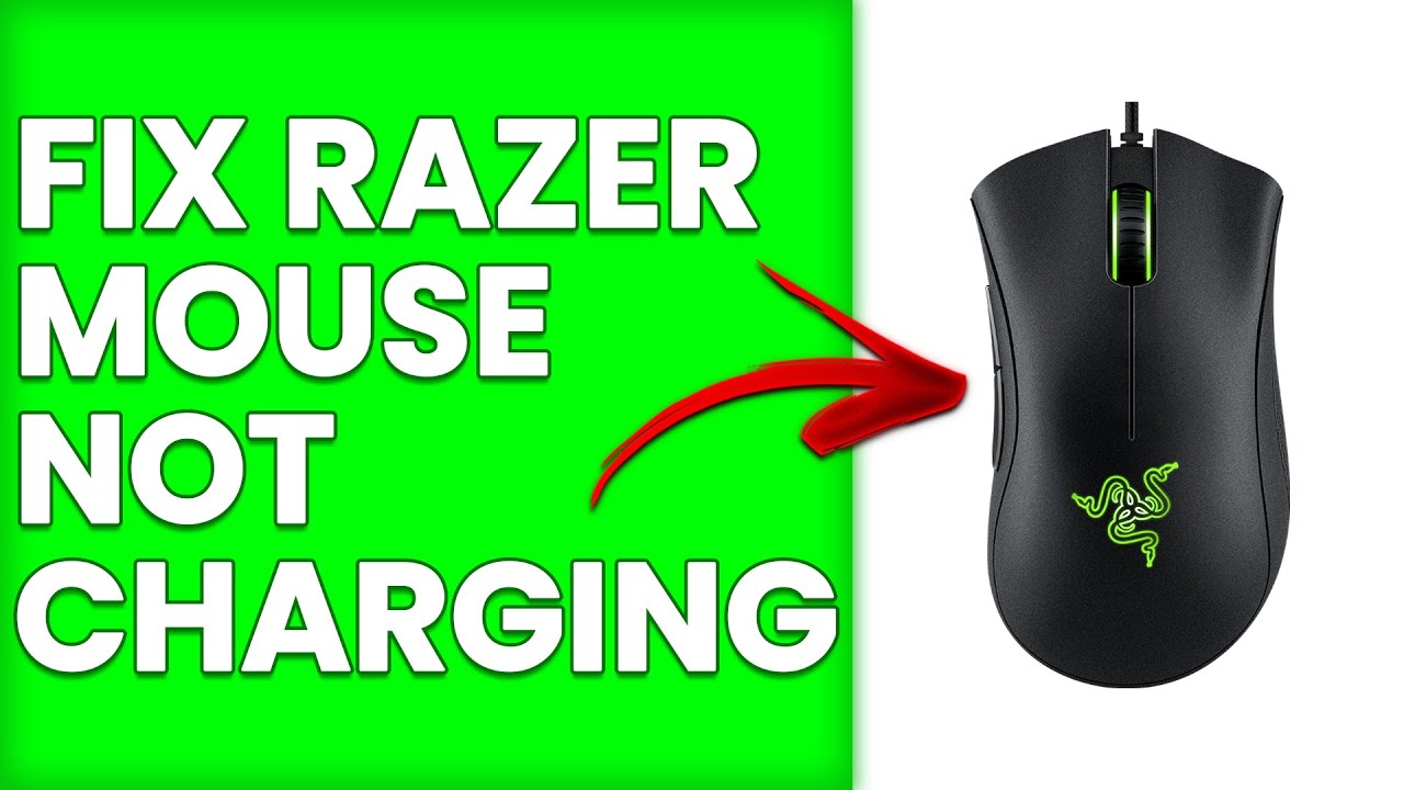 How To Fix Razer Mouse Not Charging (What To Do When Razer Mouse Not ...