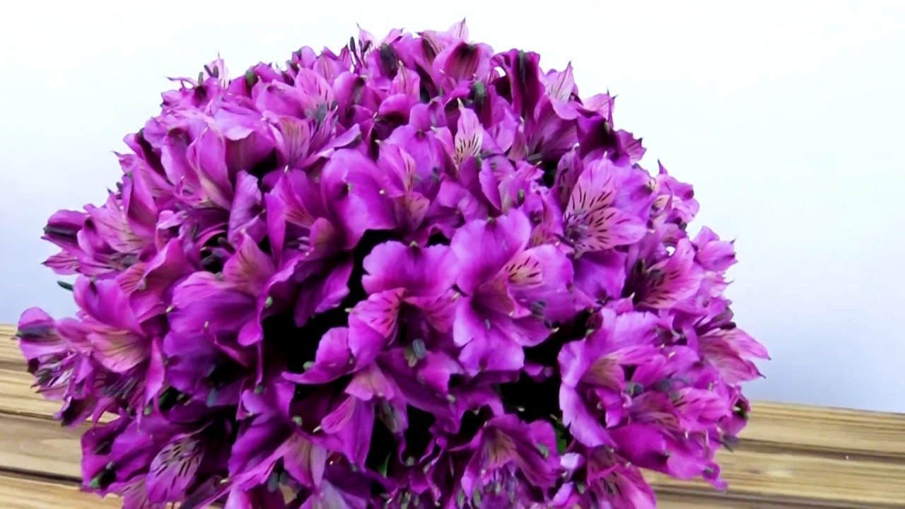 All About Mono Botanical Floral Designs I Thinkflorist - YouTube