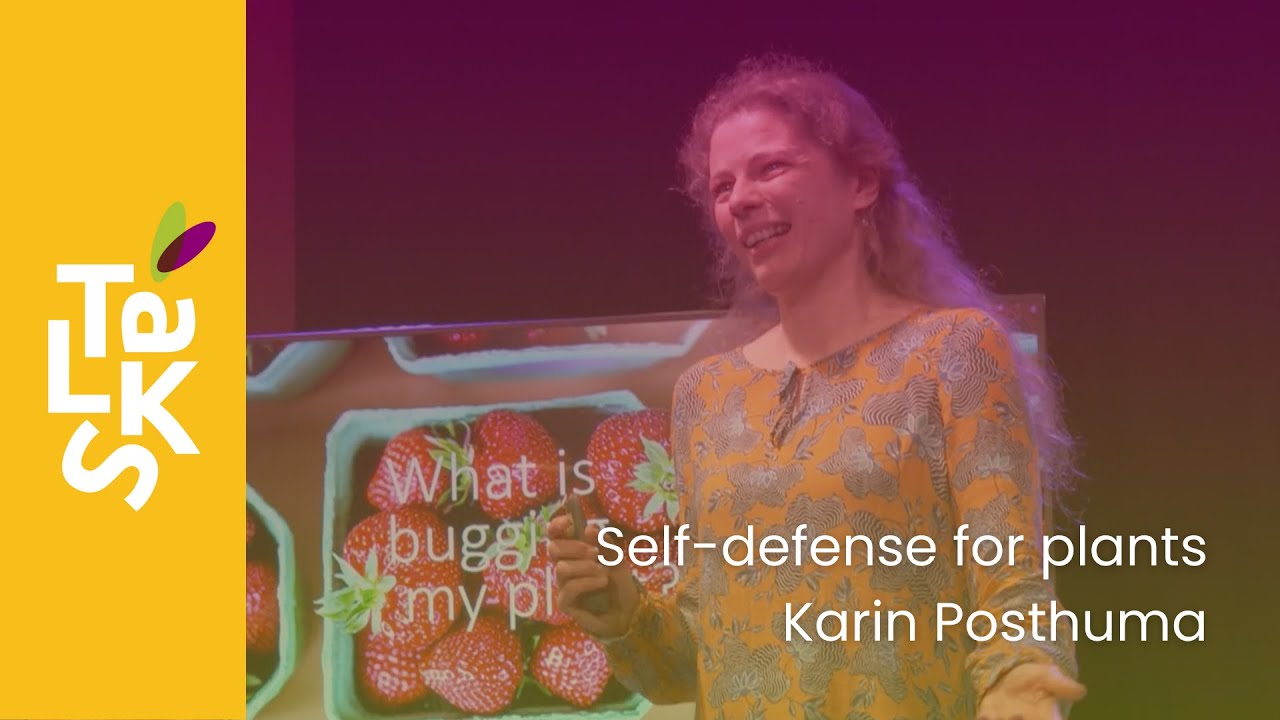 Self-defense for plants - Karin Posthuma in Seed Valley Talks - YouTube