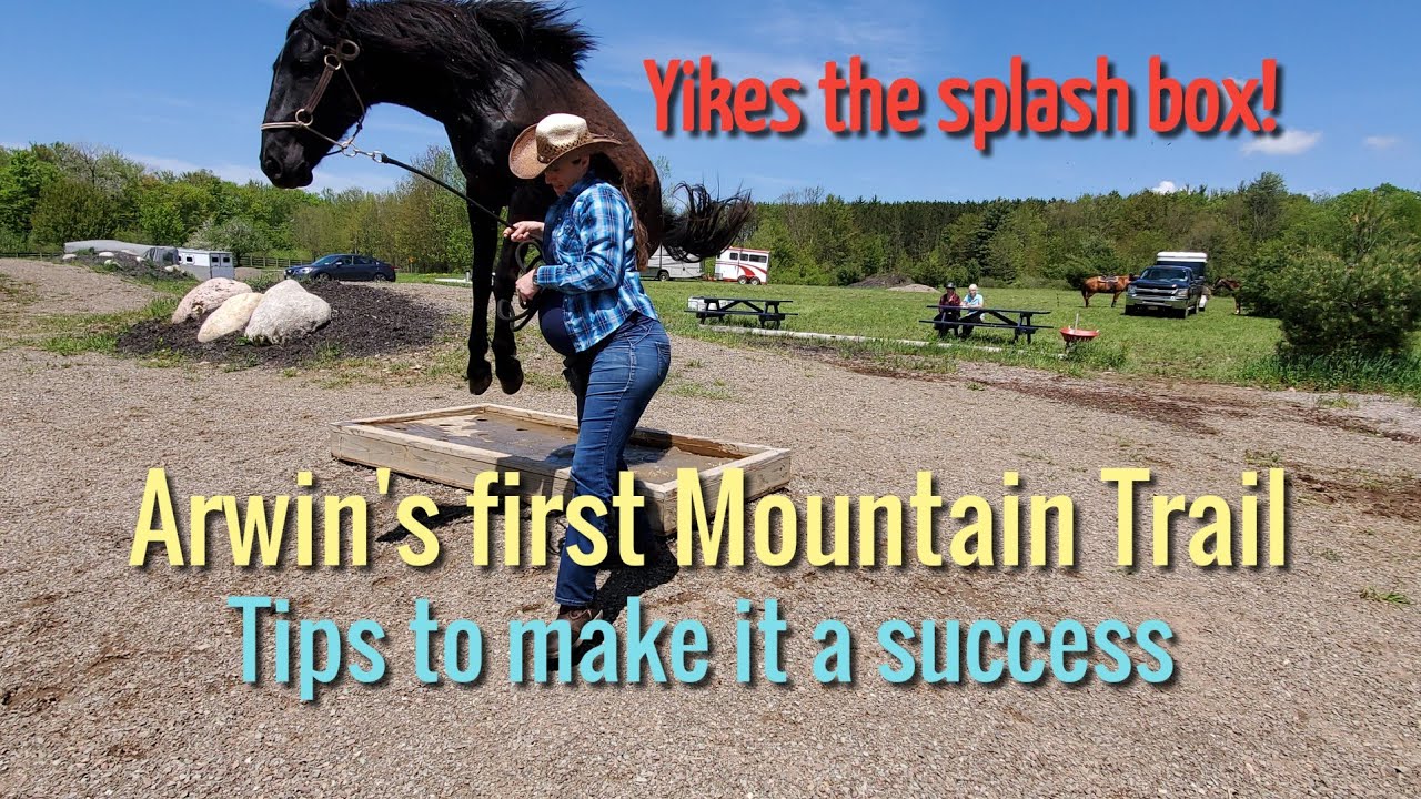 How to set it up for success, Arwins first mountain trail obstacle show ...