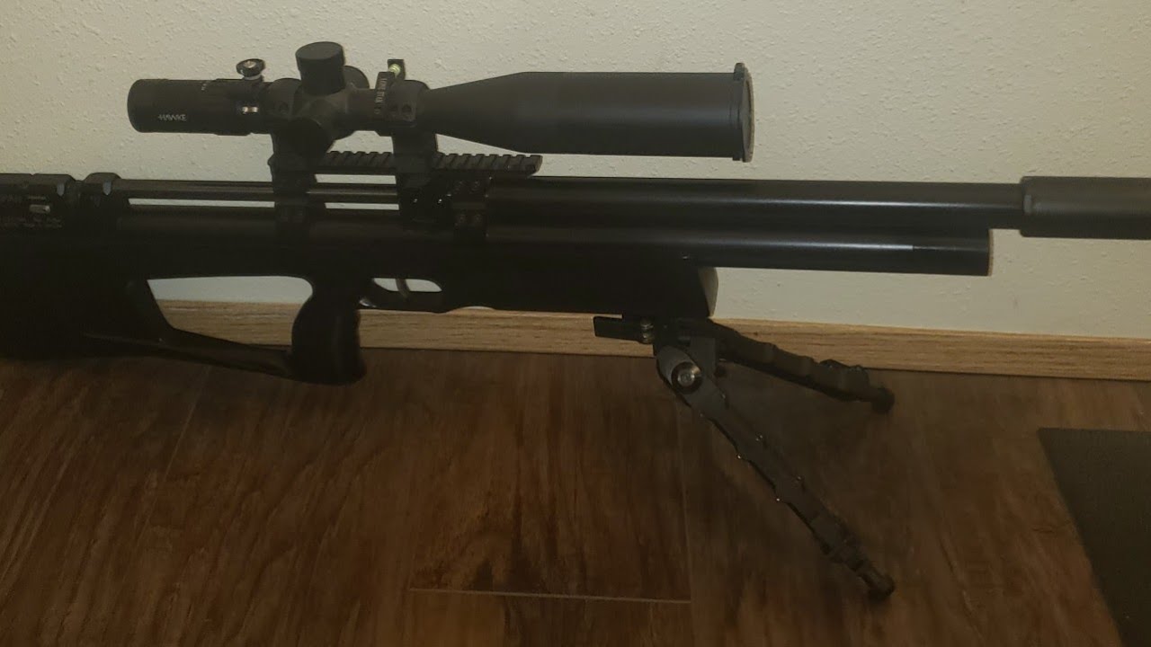 TAIPAN VETERAN LONG. 22 ACCURACY - YouTube