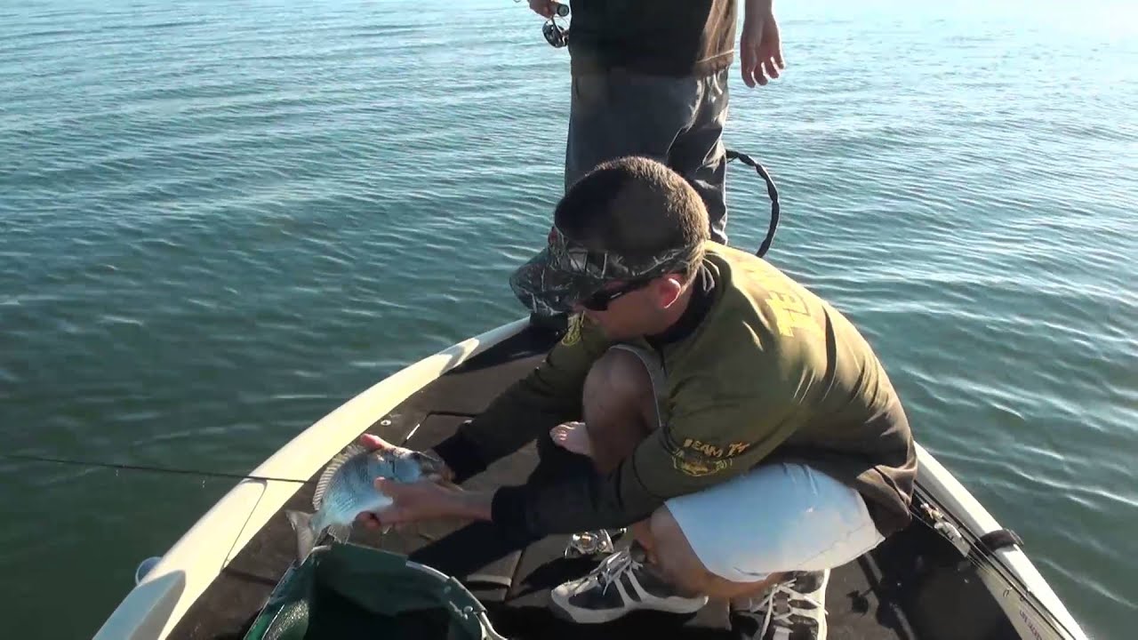 Bream, Snapper & Flathead - A Morning on the Water Pt. 2 - YouTube