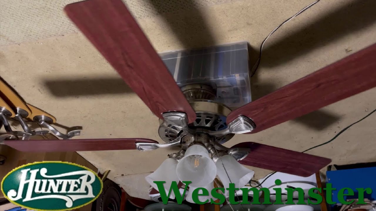 52" Hunter Westminster Ceiling Fan - YouTube