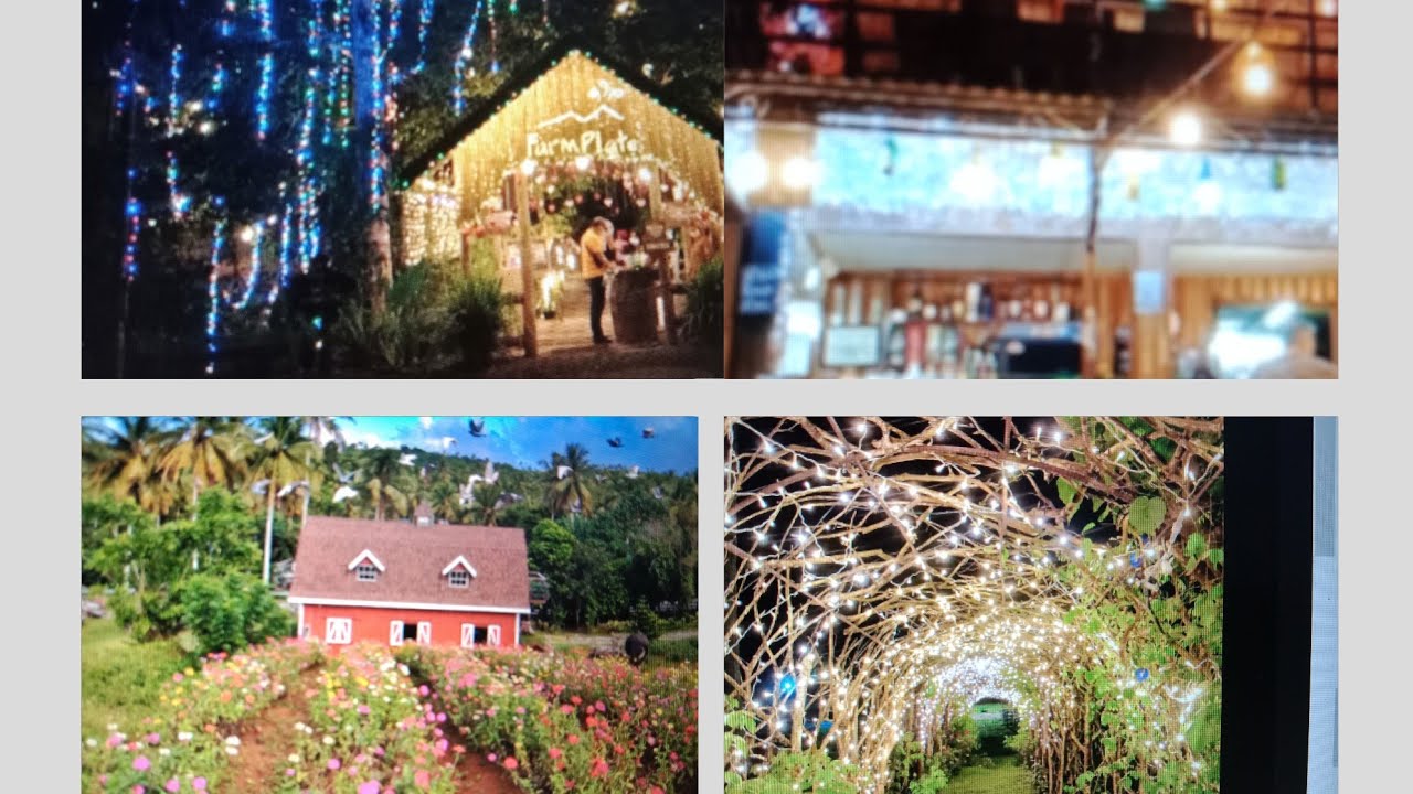 Tour to Farm Plate@Gabawan,Daraga, Albay, Philippines-2021 - YouTube