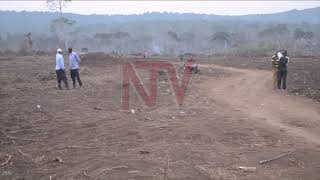 Hoima sugar ordered to restore degraded Kikuube land - NTV Uganda