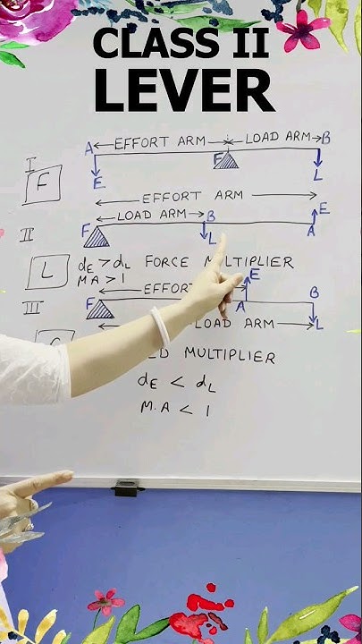 CLASS II LEVER | MACHINES | LIVE EXAMPLES - YouTube