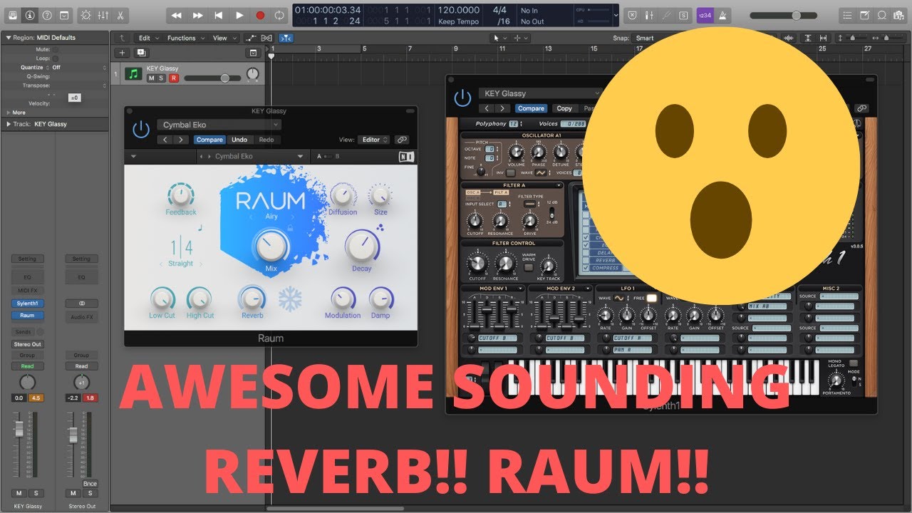 Raum Reverb by Native Instruments | First Impressions - YouTube