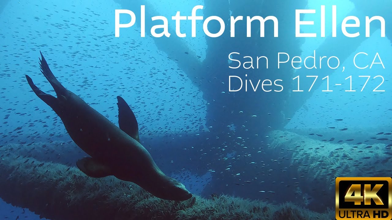 SCUBA Platform Ellen - Giant Stride Dive Boat - San Pedro CA 2023 - 4K ...
