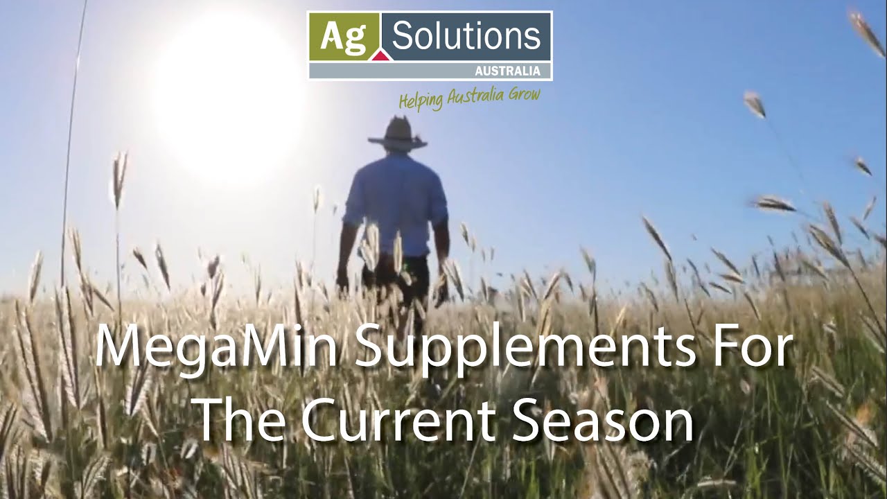 MegaMin Supplements for the Current Season - YouTube