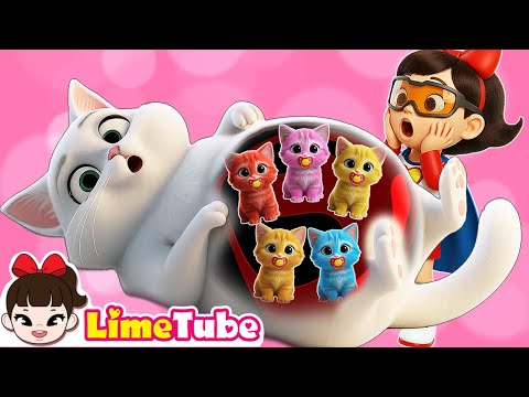 Sauver la chatte enceinte ! 🐱💖 | Équipe de Sauvetage Animal Super Lime | LimeTube