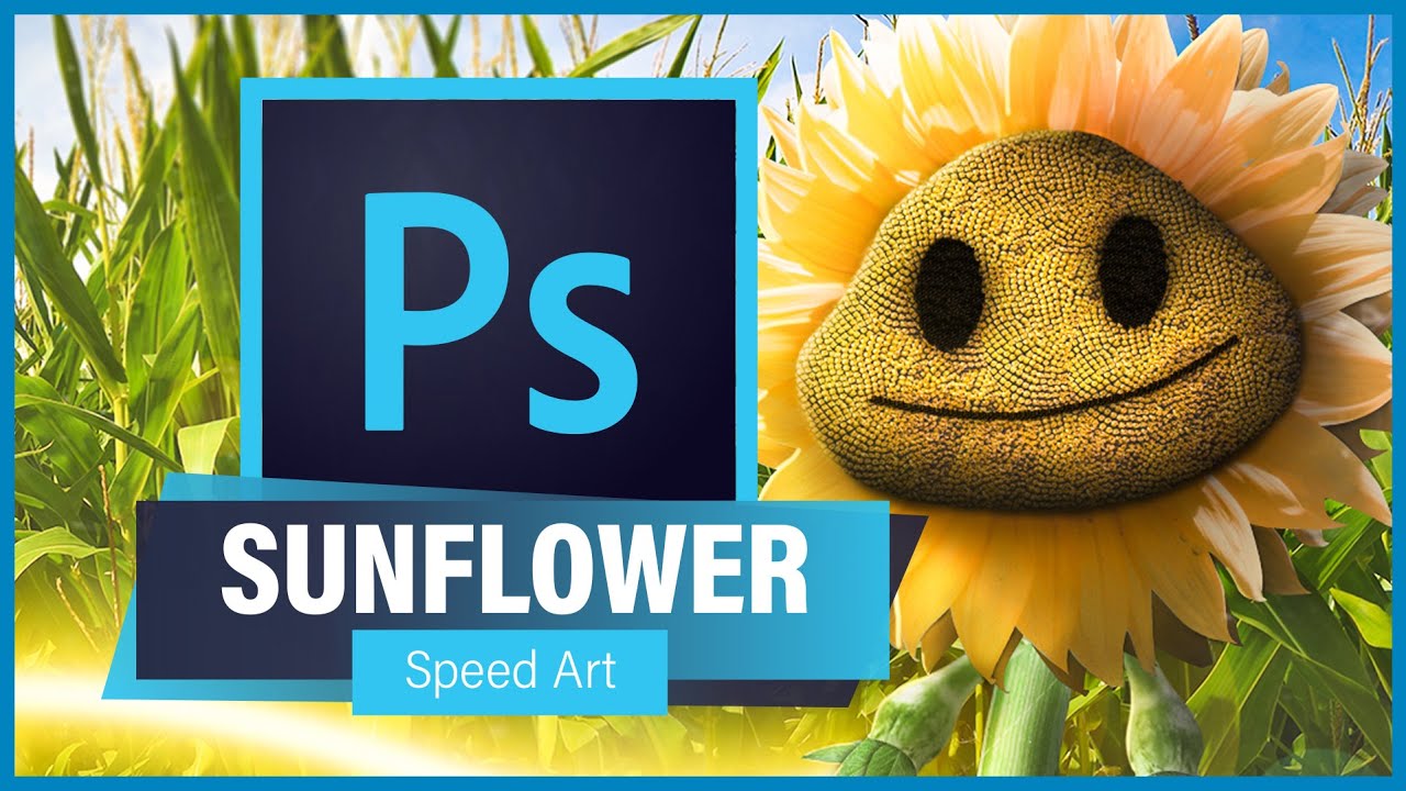 REALISTIC SUNFLOWER Photoshop Manipulation (Speed Art) - Plants vs ...