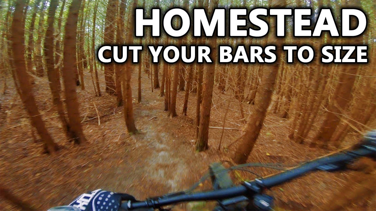 Homestead | Guelph Lake, Guelph, Ontario | MTB - YouTube
