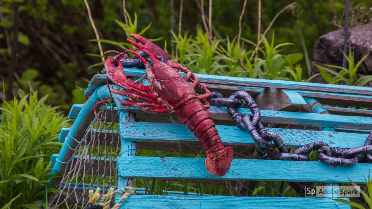 Adventure to Meteghan - Lesson 5 - YouTube