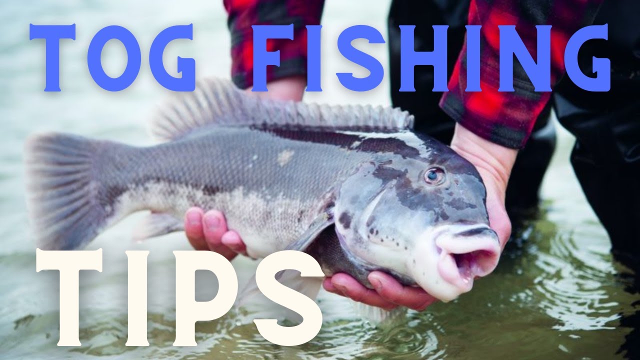 TOG Fishing Tips | Adrian Avena Talks Tautog Jigs - YouTube