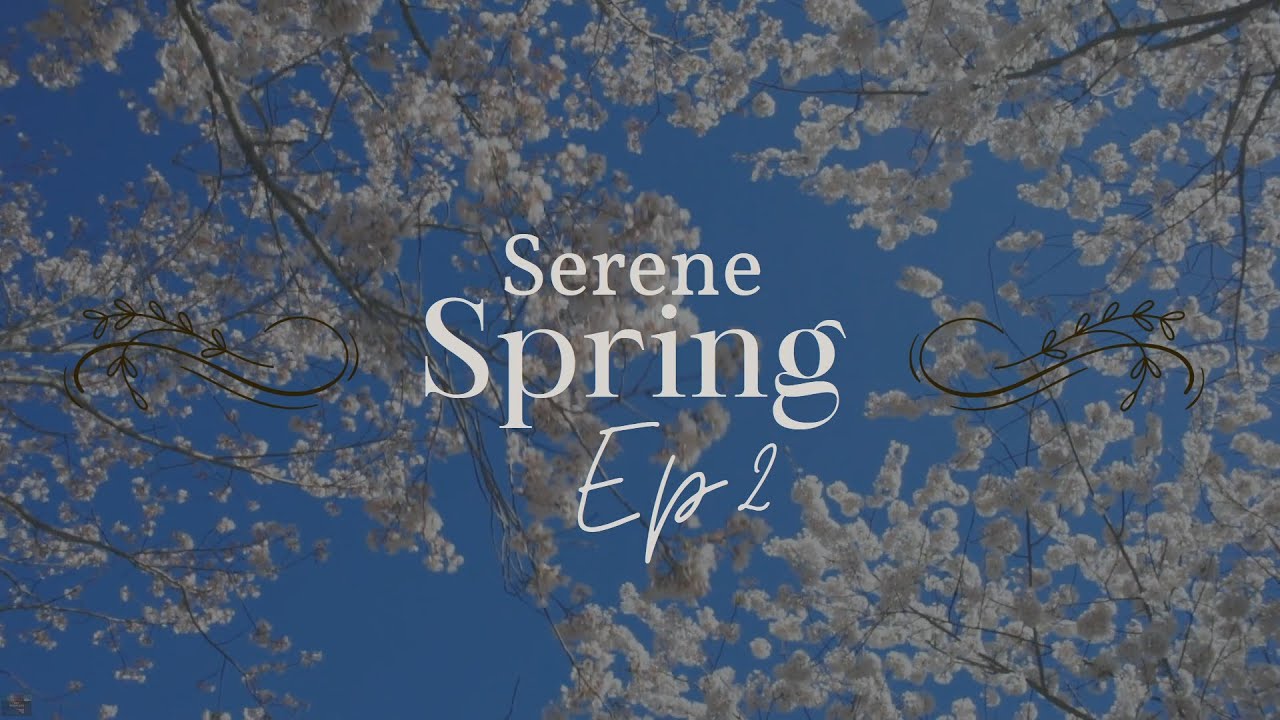 Serene Spring: Ambient Sounds and Scenes for Deep Relaxation - YouTube