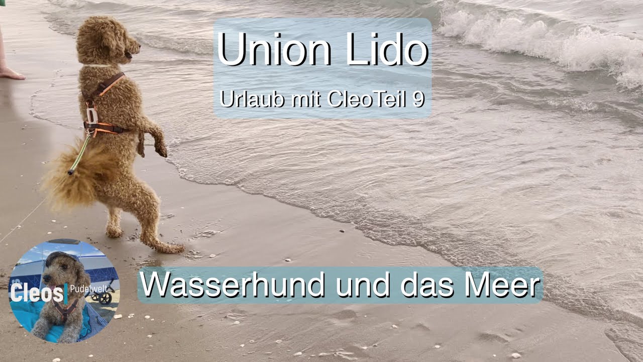 Union Lido 2023 mit Pudel Cleo - am Meer 9/14 - Unser Hund am Meer ...