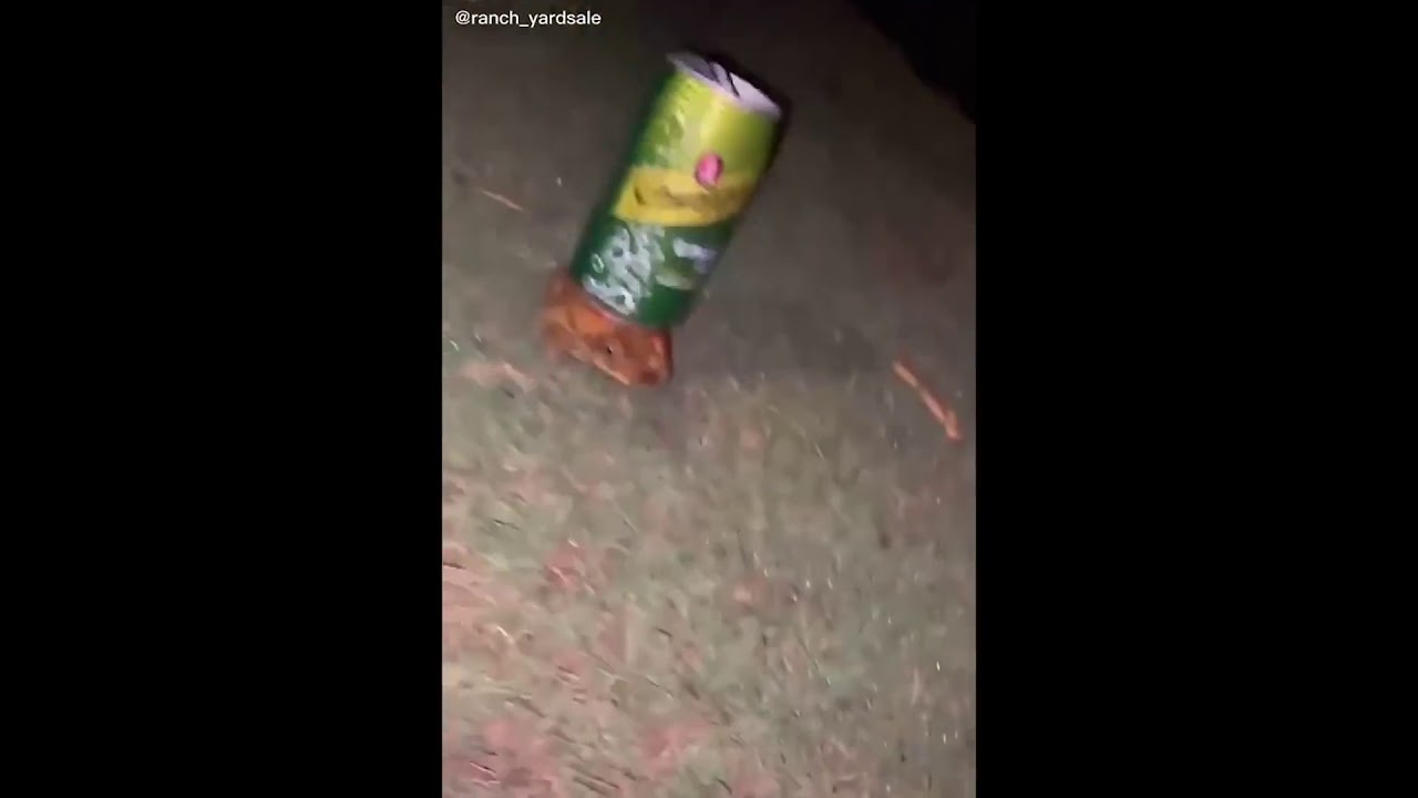 FROG WITH THE GINGER ALE! - YouTube