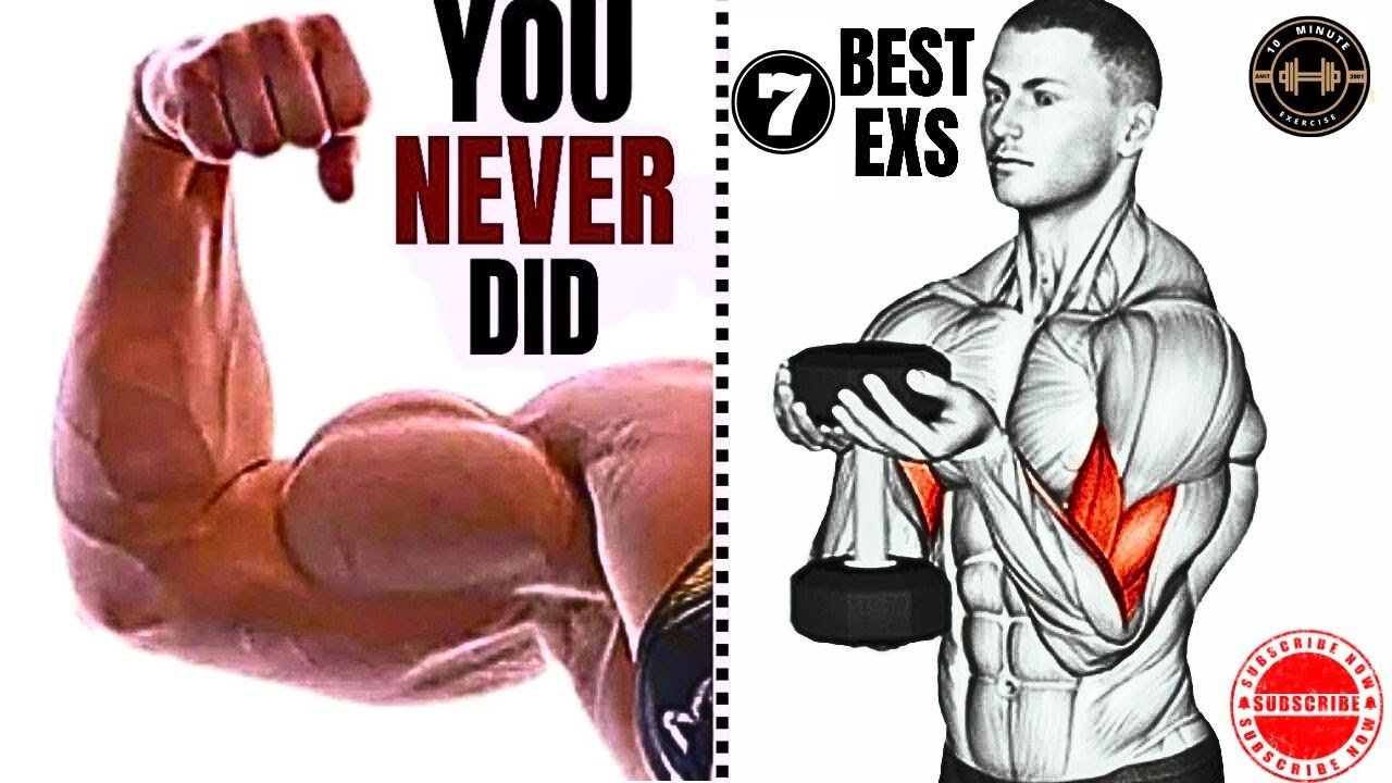 "Arm Sculpting Mastery: Top 7 YouTube Biceps Exercises for Sleeve ...