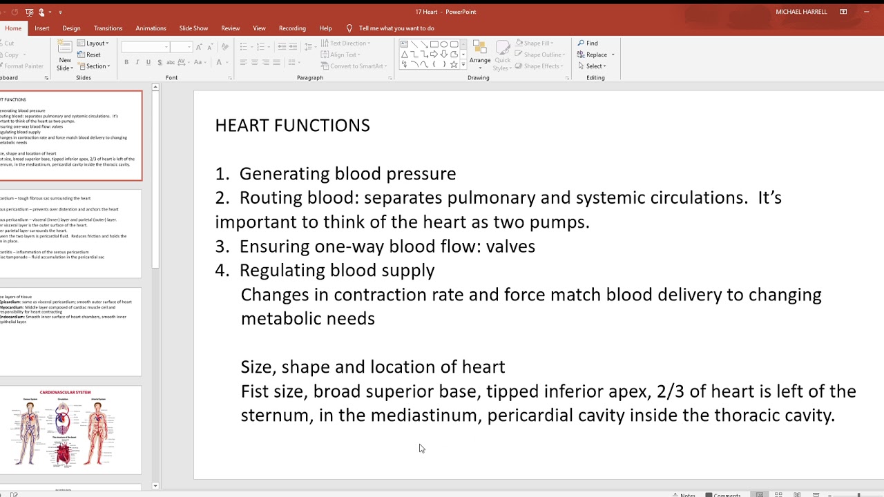 17 Heart Basic information - YouTube