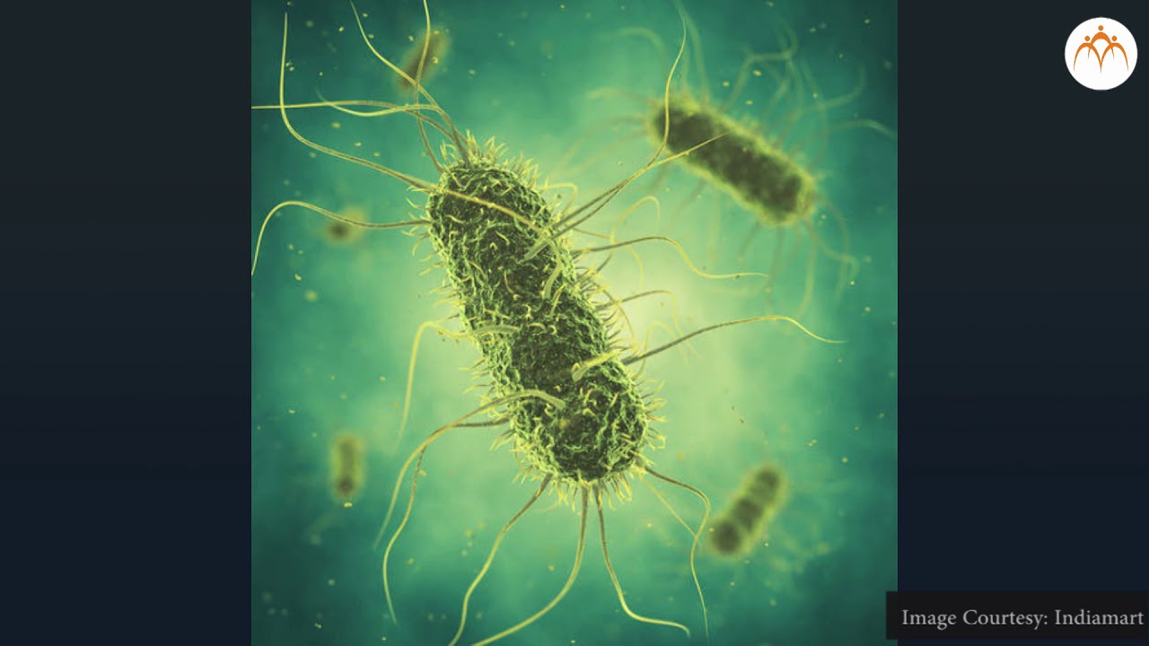 To study the Biofertilizers - YouTube